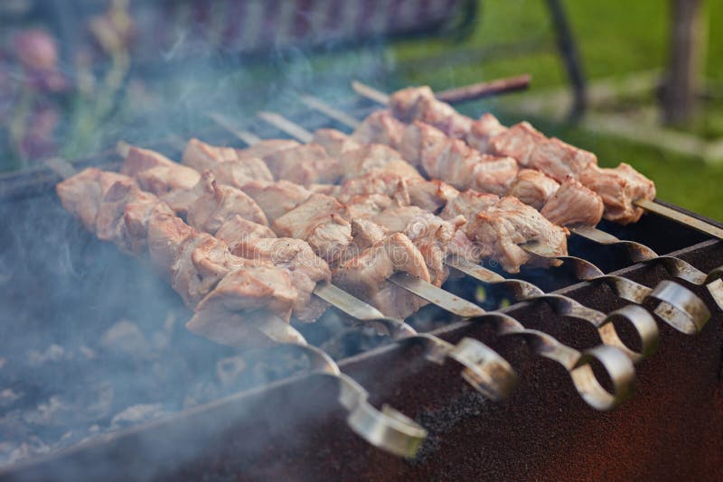 Meat on Skewers is Roasted on a Fire Stock Photo - Image of coals ...
