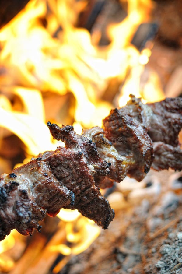 Meat on a spit stock photo. Image of cooking, rich, barbecue - 37579448