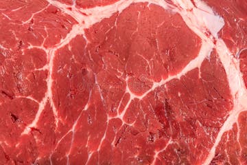 6,388 Muscle Texture Stock Photos - Free & Royalty-Free Stock Photos ...