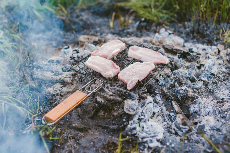 Meat on a Wire Rack Over a Fire. Picnic in Nature Stock Photo - Image ...