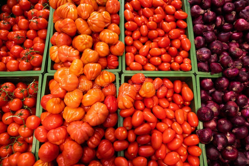 Meaty Tomatoes of Different Shape and Purple Onions Separated in ...