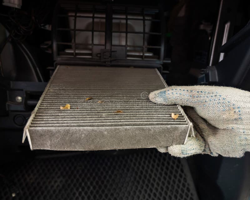 A Mechanic Changes the Cabin Air Filter of a Car. Stock Photo - Image ...