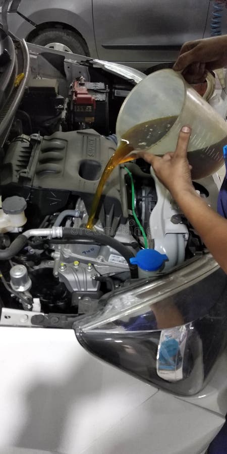 448 Car Oil Putting Stock Photos - Free & Royalty-Free Stock Photos ...