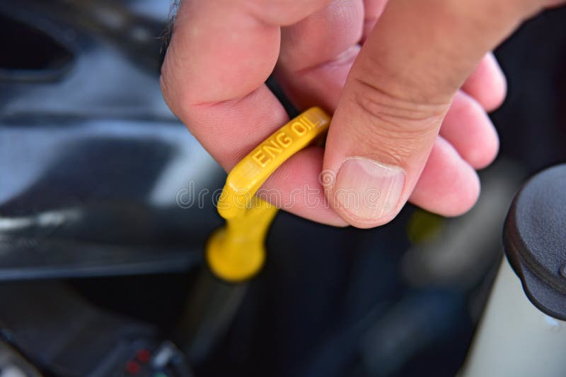 Checking the Oil Level in the Car Engine Stock Photo - Image of ...