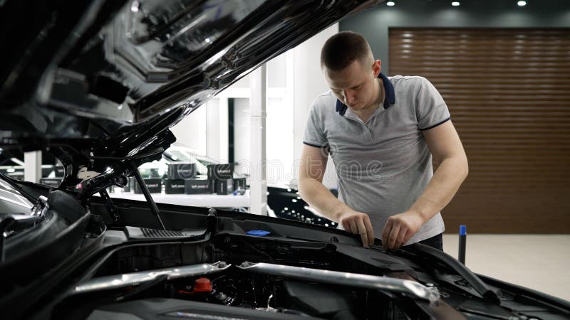 Mechanic Installing Components in Car Engine Bay Stock Photo - Image of ...