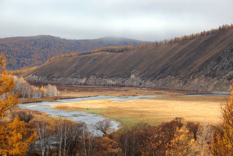 China golden autumn ALSHAN stock image. Image of grass - 254134695