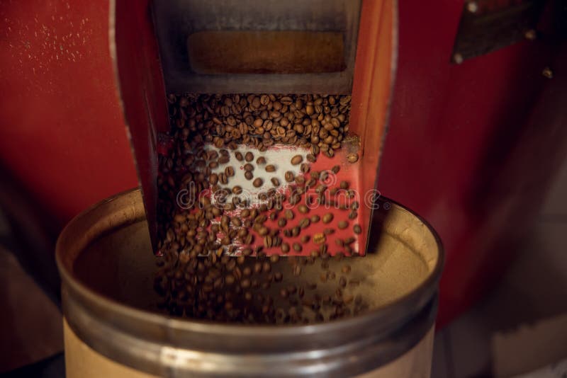 Mechanical Coffee Sorting Process on the Modern Equipment Stock Image ...