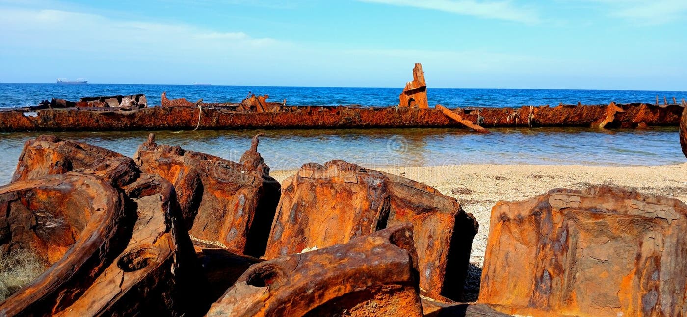 1,088 Beautiful Corpse Stock Photos - Free & Royalty-Free Stock Photos ...