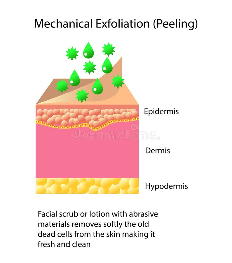 Mechanical Exfoliation or Peeling, Vector Illustration on Light ...