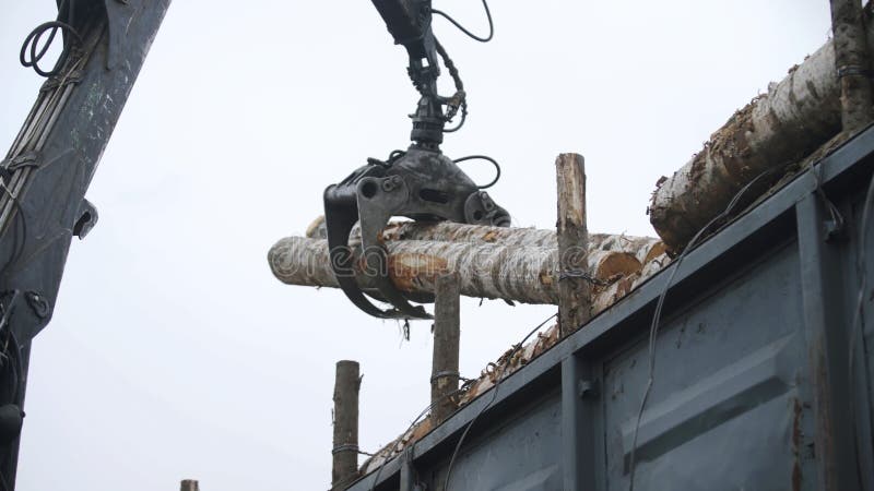 Mechanical Gripper Loading Lumber on To Car Train for Transportation on ...