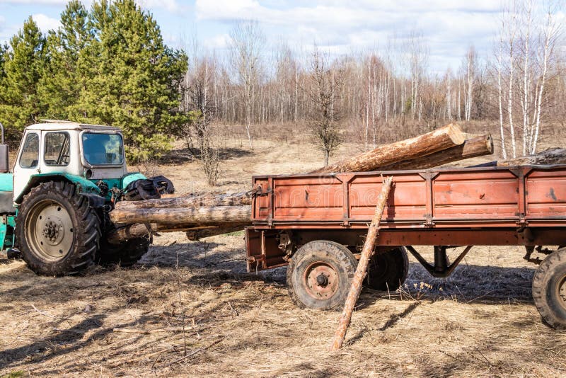 Transportation of Pine Logs in Truck. Wood Transportation Stock Photo ...