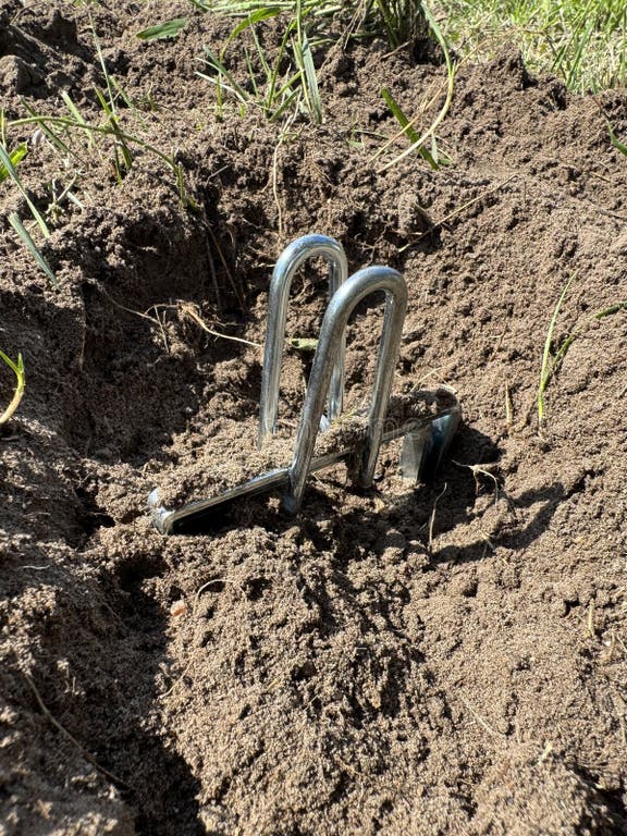 Mechanical Mole Trap Made of Galvanized Steel. Installed in a Mole ...