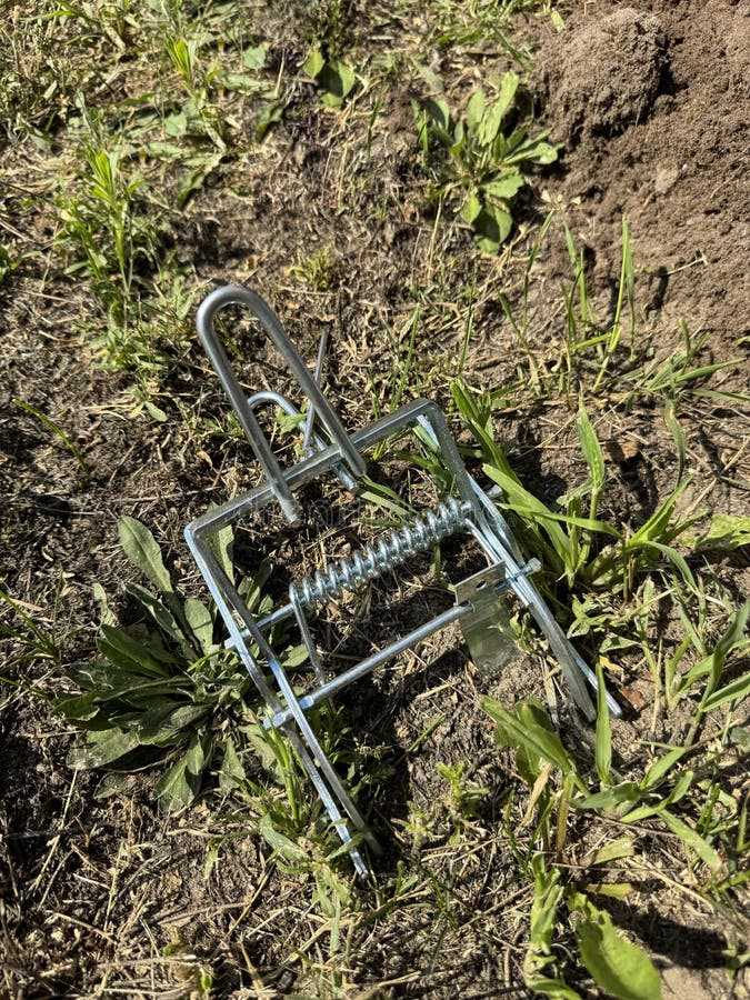 Mechanical Mole Trap Stock Photos - Free & Royalty-Free Stock Photos ...