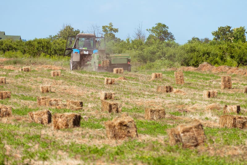 Mechanical packing hay stock image. Image of mowing, nature - 95192333