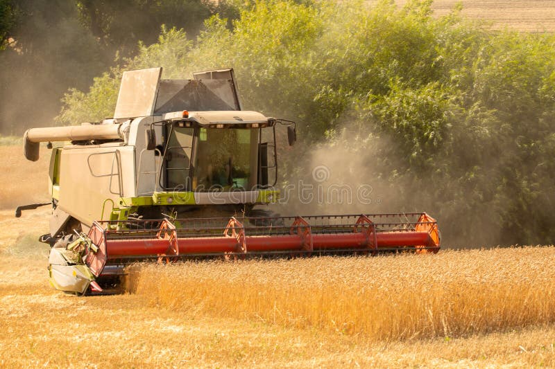 Mechanical Reaper: the Combine Cuts Wheat Stock Photo - Image of food ...