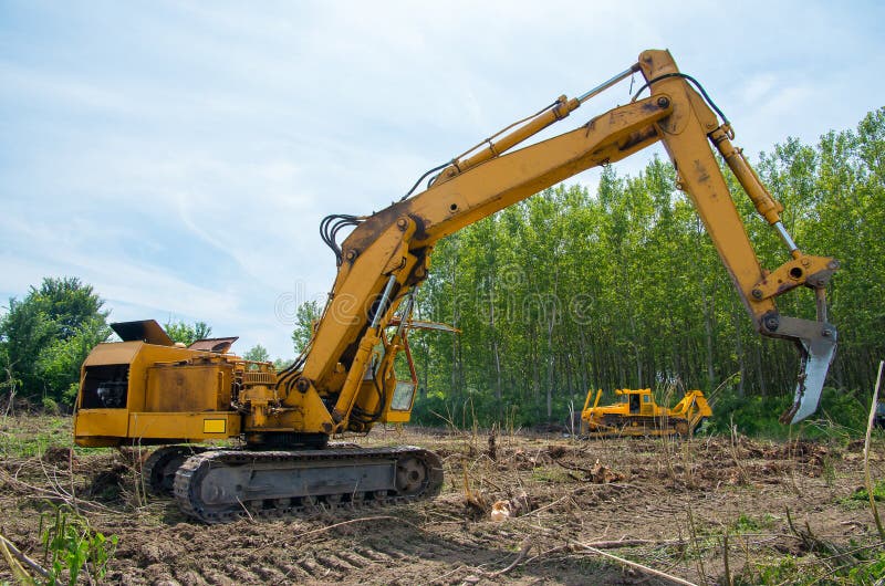 Mechanical Site Preparation for Forestry. Stock Photo - Image of ...