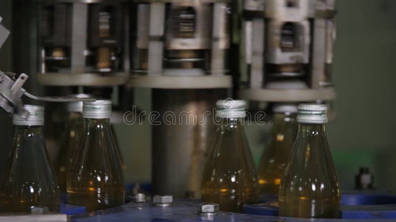 Automatic Bottle Rinsing, Filling and Capping Machine. Automation of ...