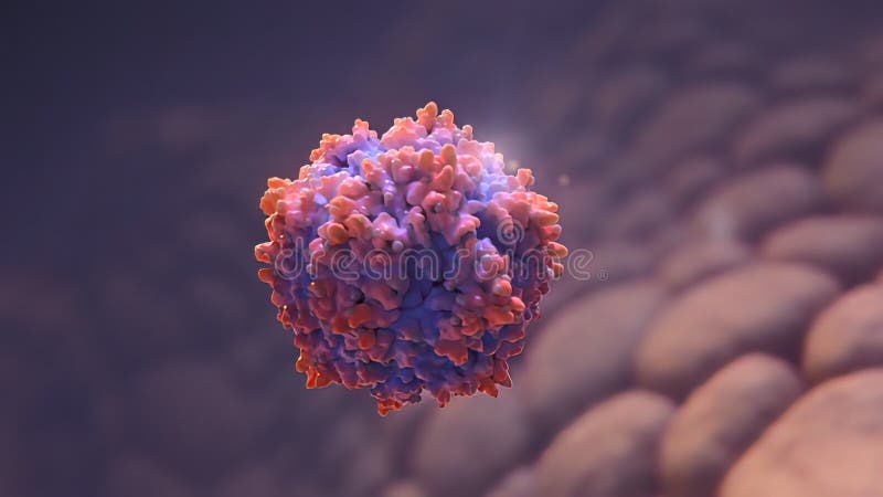 Mechanism for Nuclear Entry of the Cell Surface Receptor Stock ...