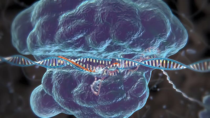 Dna Motif Stock Illustrations – 69 Dna Motif Stock Illustrations ...