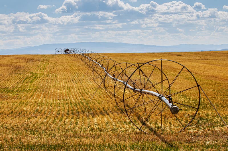 109 Rolling Irrigation System Stock Photos - Free & Royalty-Free Stock ...