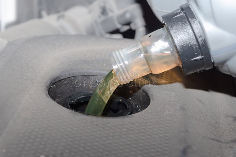 Mechanic Refill Oil after the Oil Change in the Car Stock Image - Image ...