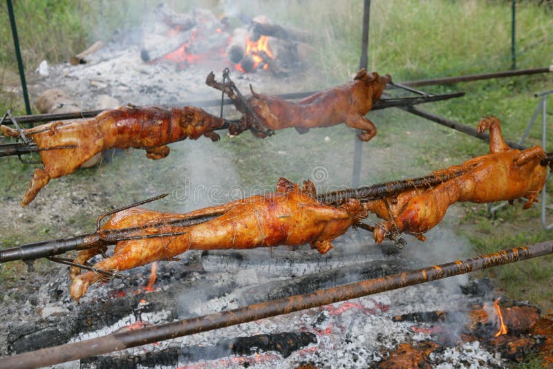Mechoui photo stock. Image du assiette, bois, barbecue - 26827756