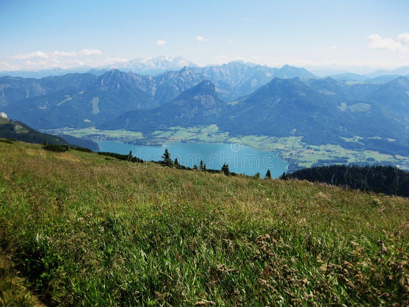 Meddow in the alps stock image. Image of idro, outdoor - 10498981