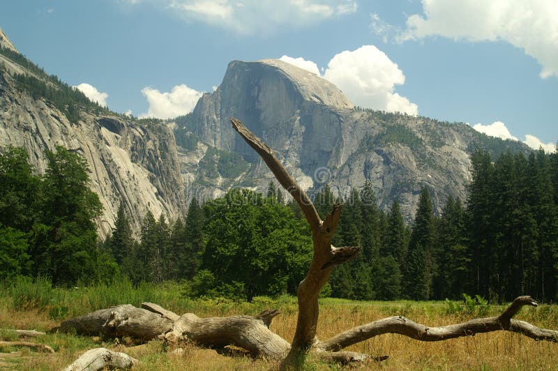 Media bóveda del prado foto de archivo. Imagen de paisaje - 1150754