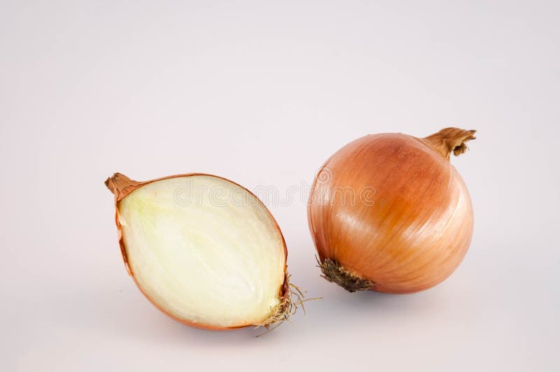 Media cebolla foto de archivo. Imagen de medio, salud - 14471528