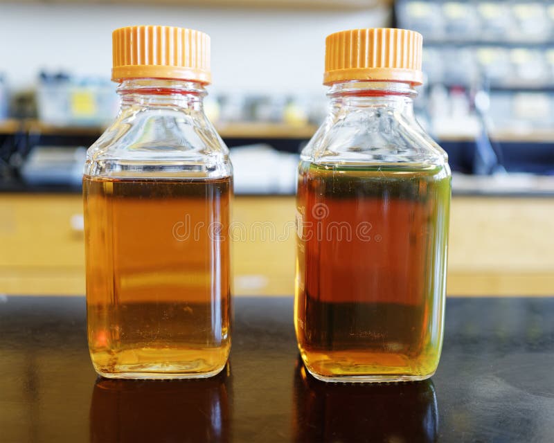 Microbiology media stock image. Image of health, research - 6482913