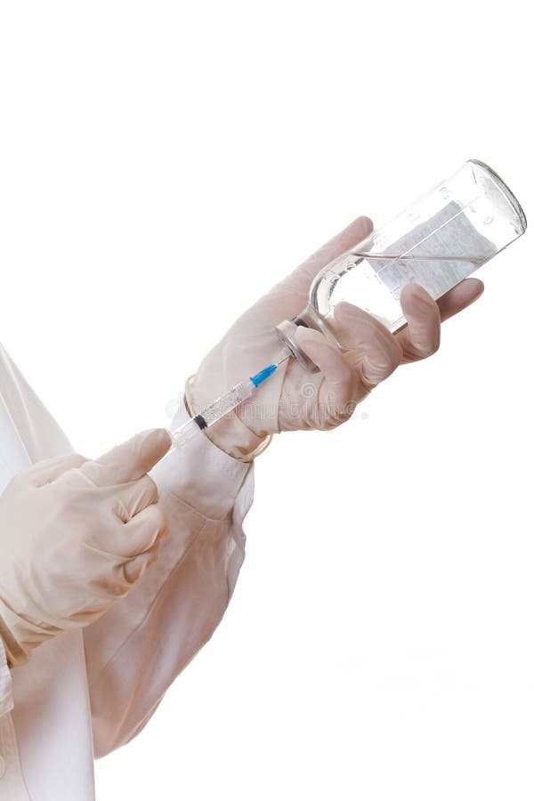 Injection into Red Rose Isolated on White Background. Genetically ...