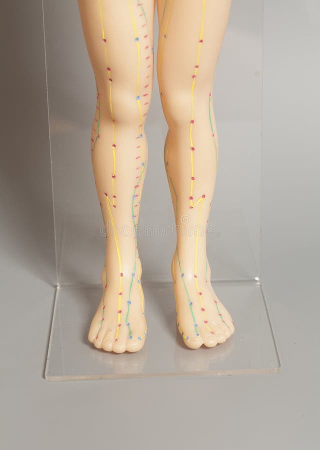 Medical Acupuncture Model of Human Feet Stock Photo - Image of ancient ...