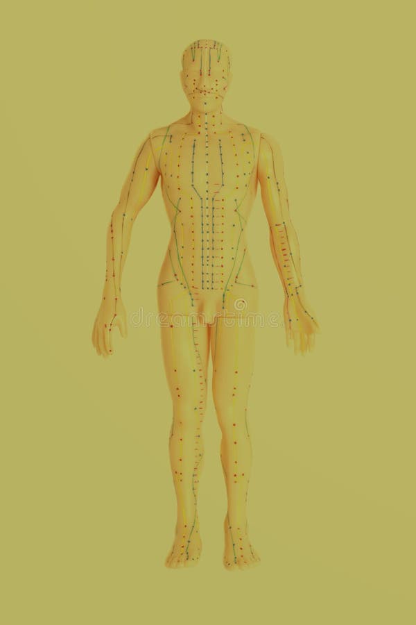 Medical Acupuncture Model of Human Stock Photo - Image of back, design ...