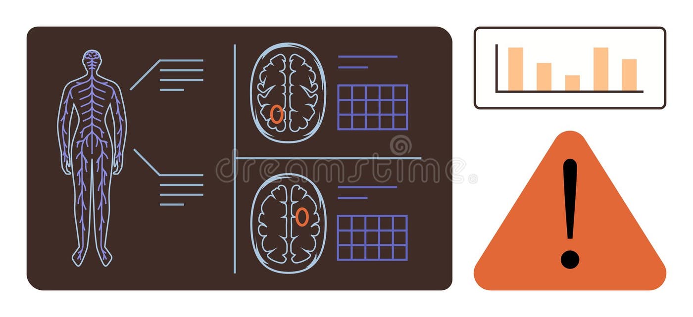 Nervous System Diagram Stock Illustrations – 4,777 Nervous System ...