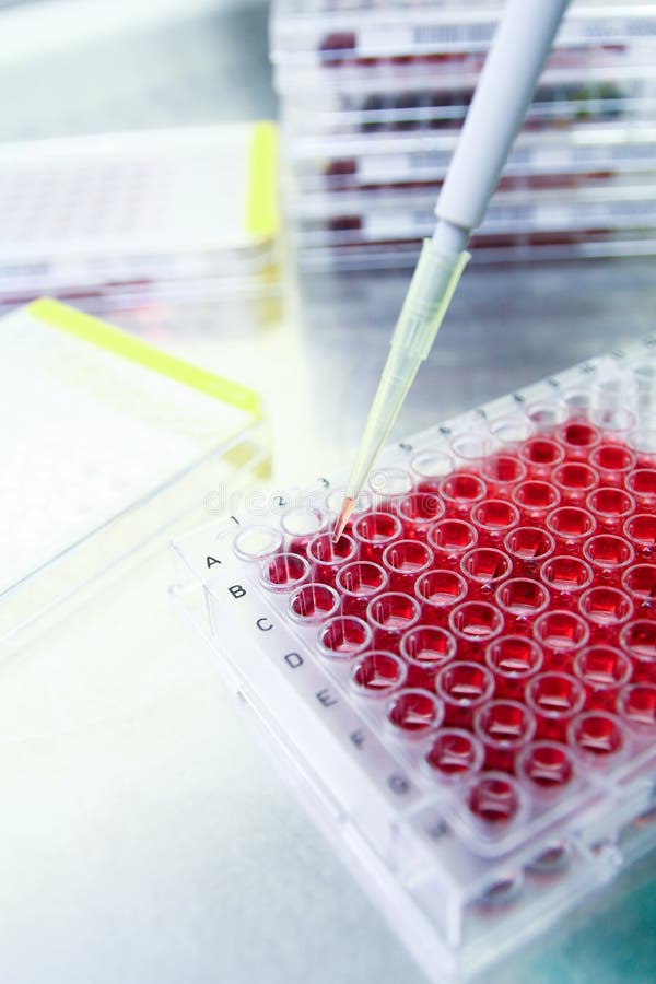 Medical Biotechnology Science Experiment Stock Image - Image of science ...