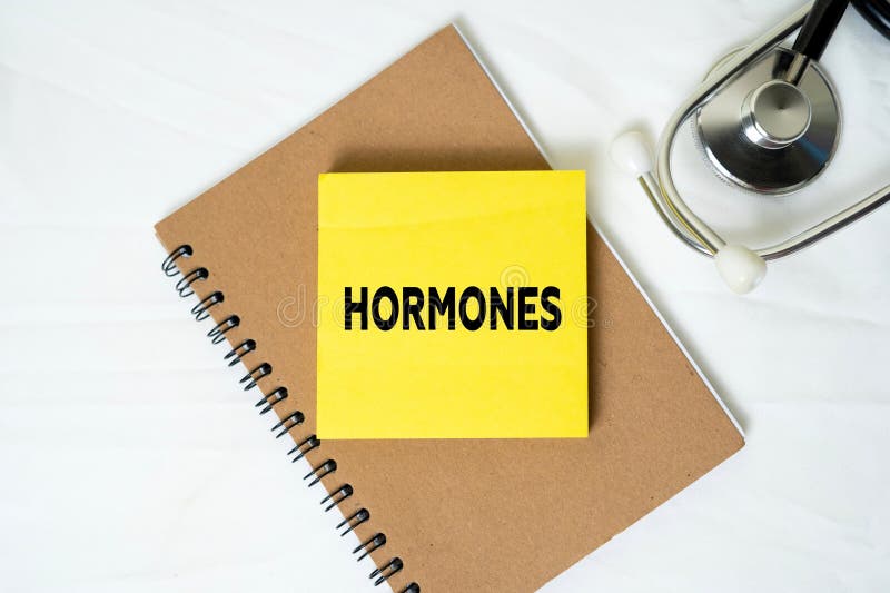 Hormones stock image. Image of label, concept, people - 388764541