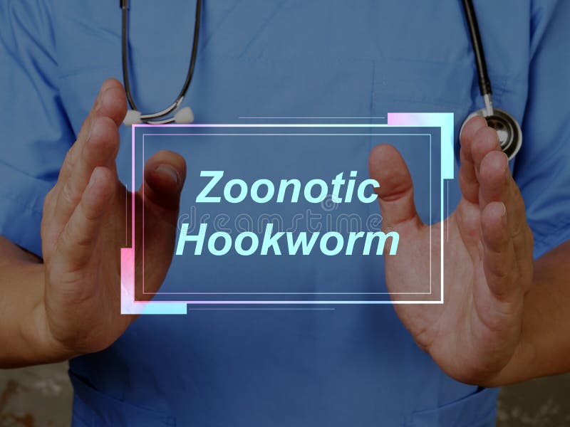 Medical Concept Meaning Zoonotic Hookworm with Phrase on the Page Stock ...