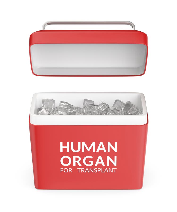 Medical Cooler for Transporting Human Donor Organs Stock Photo ...