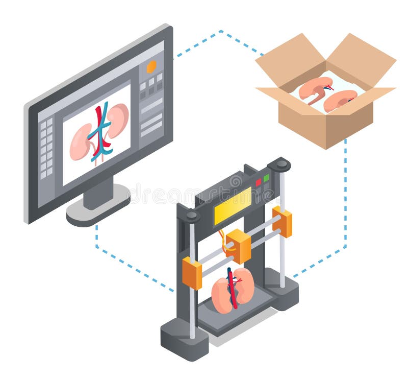 Medical 3d Bioprinter Creating Kidneys for Transplant, Vector Flat ...
