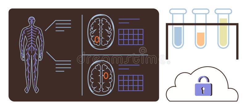 Anatomy Human Brain Areas Stock Illustrations – 316 Anatomy Human Brain ...