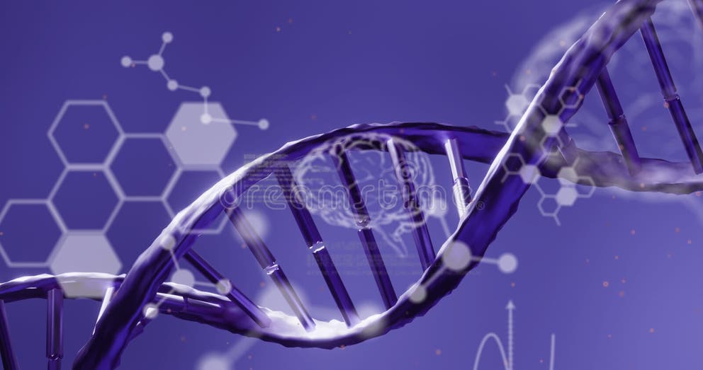 Medical Data Processing Over Dna Structure Spinning Against Blue ...