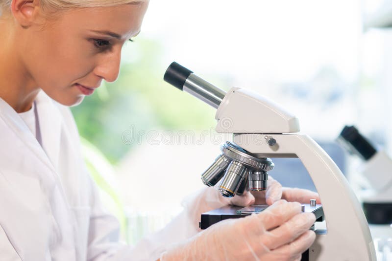 Medical Doctor Working in Research Lab. Science Assistant Making ...