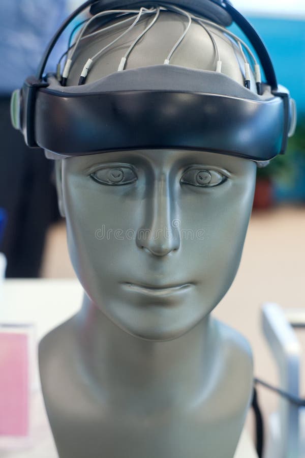 Human Body Model, Brain Anatomy Diagram Stock Image - Image of tissue ...