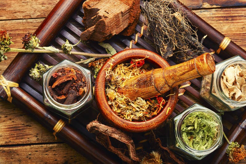 Medicinal herbs set stock image. Image of naturopathy - 241101901