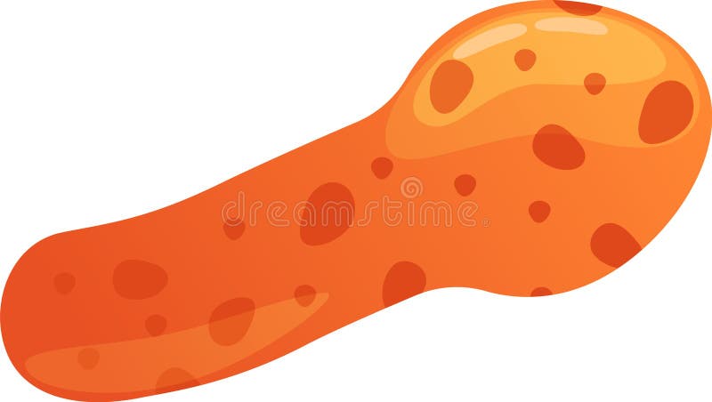 Medical Illustration of Corynebacterium Diphtheriae, a Bacterium that ...