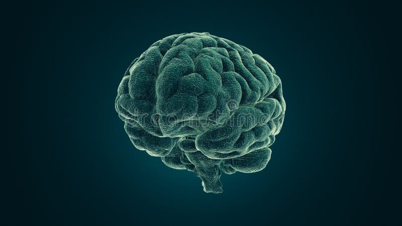 Medical Image of the Human Brain Stock Image - Image of idea, science ...