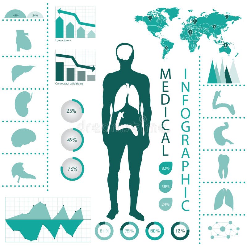 Human Info Graphic Elements Stock Vector - Illustration of button ...