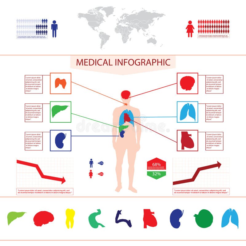 Human Info Graphic Elements Stock Vector - Illustration of button ...
