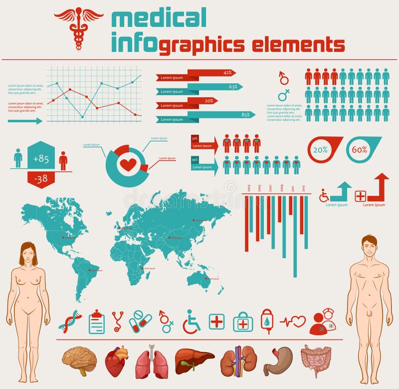 Medical Infographic Elements Stock Vector - Illustration of anatomical ...