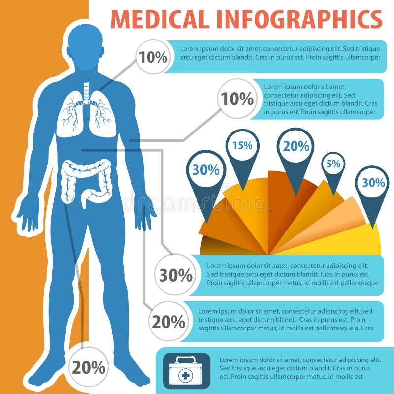 Medical Infographic with Human Anatomy Stock Vector - Illustration of ...